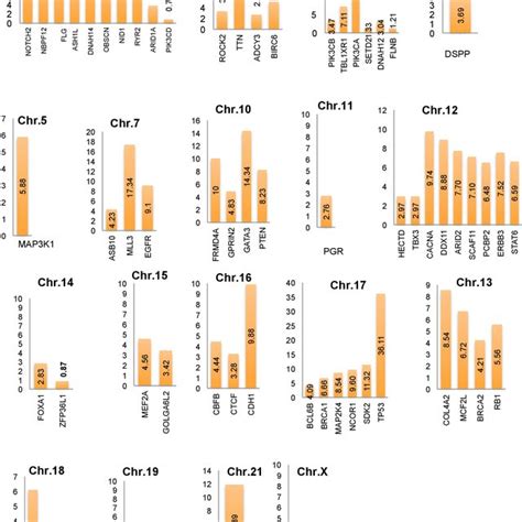 Pdf Characterization Of Potential Driver Mutations Involved In Human Breast Cancer By