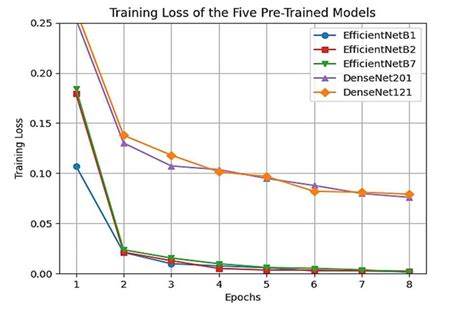 Training Loss Of Efficientnet And Densenet Models Download Scientific Diagram