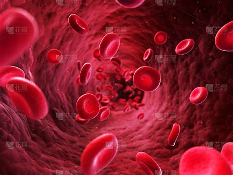 血细胞