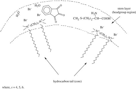 Micellar Structure And Plausible Site Of Methionine And Ninhydrin In