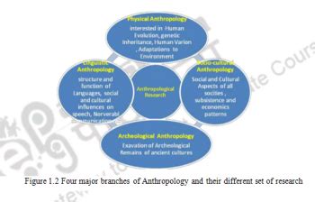 Preparation For Field Work Research Methods And Field Work