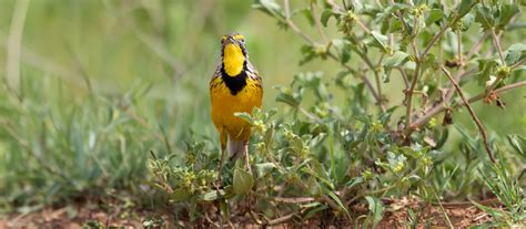 Weathering The Storms Of Life