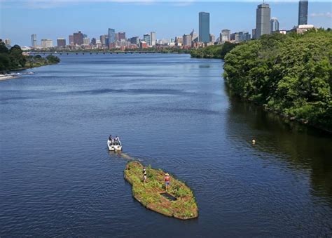 Pollution Architecture Groundbreaking Environmental Biodiversity