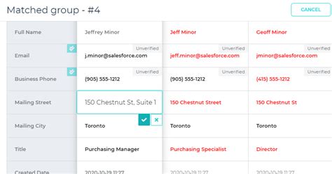 Review Duplicates In Salesforce Datagroomr Support
