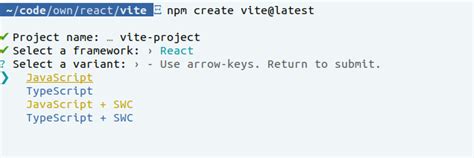 How To Use React Or Vue With Vite And Docker Dev Community