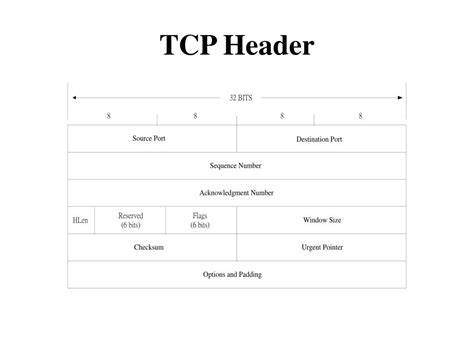 PPT TCP Header 與 IP Header 介紹 PowerPoint Presentation free download ID
