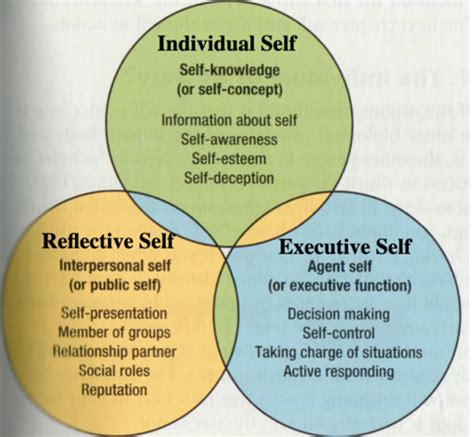 The Self Flashcards Quizlet