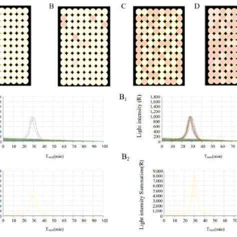 Comparison Of End Point Dpcr Results With Real Time Dpcr Results On 12 Download Scientific
