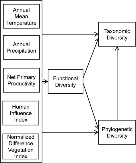 Hypothesized Causal Relationships Of The Structural Equation Model Download Scientific Diagram