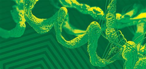 Proximity Labeling Del Selection Without Capturing The Target X Chem