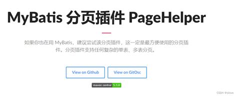 mybatis分页技巧 csdn博客