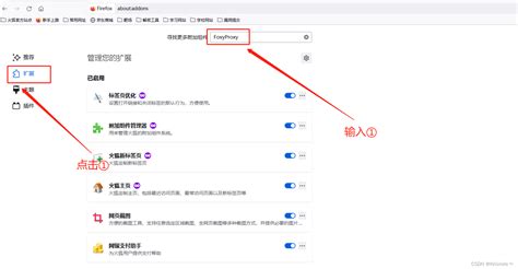 火狐foxyproxy插件的安装 Csdn博客