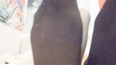 B Stocking Feet Sole Toe C ThottyPraxis S Clip Store Clips4sale