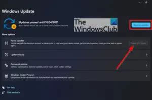 How To Check For Updates In Windows