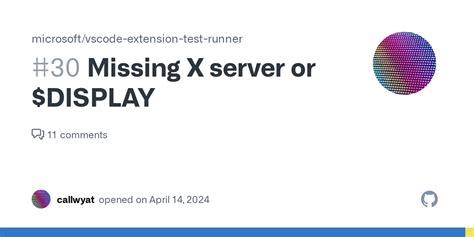 Missing X Server Or Display · Issue 30 · Microsoftvscode Extension