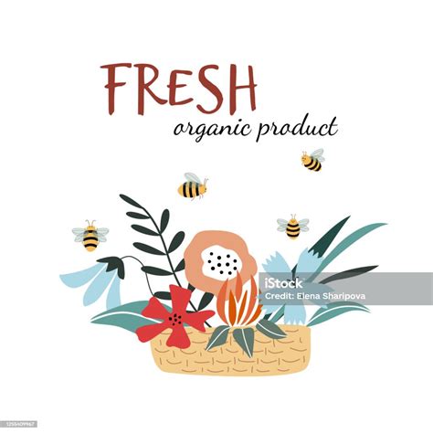 꿀 제품 신선한 유기농 제품 텍스트용 엽서 꽃 위에 날아다니는 꿀벌 디자인 전단지 스티커 배너 배경에 유용합니다 손으로 그린 벡터 그림 배경에 격리됩니다 꿀벌에 대한 스톡