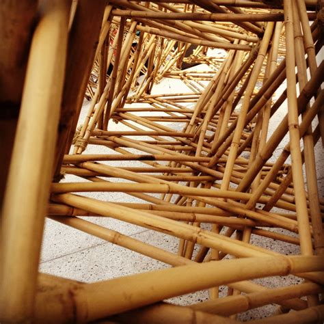 패턴 디자인 나무 Pixabay의 무료 사진