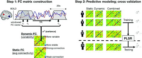 Method For Predicting Individual Behavior Using Dynamic Functional
