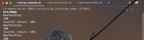 Golang Uretprobe的崩溃与模拟实现 Cfc4n的博客