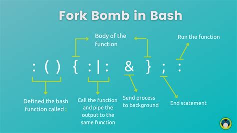 What Is Fork Bomb In Bash Understanding And