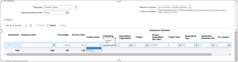 How To Make A Dff Optional Through Modifying The Sandbox — Cloud Customer Connect