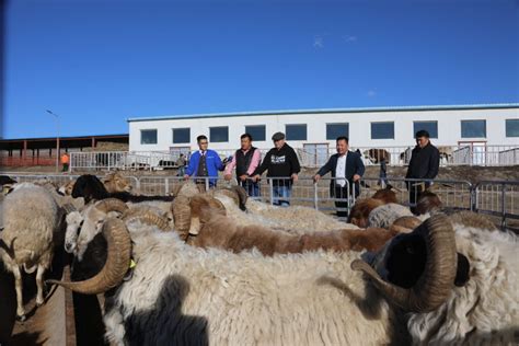 Дархан Уул аймагт “Хүнсний хангамж аюулгүй байдал” үндэсний хөдөлгөөний нээлт боллоо