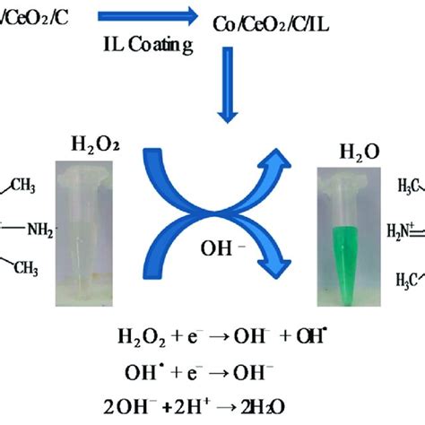 Scheme Mechanism For The Detection Of H O Download
