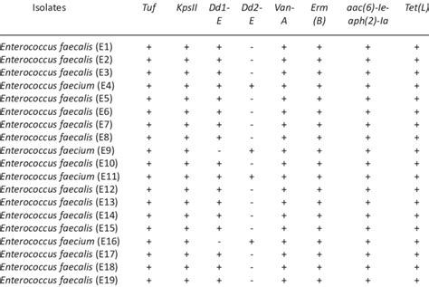 Antimicrobial Resistance Profiles Of The 19 Enterococcus Isolates Download Scientific Diagram