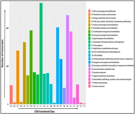 Ijms Special Issue Comparative Genomics And Functional Genomics Analysis In Plants