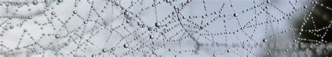 dht mesh distributed hash tables iandd microio