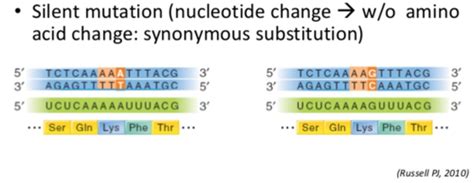 sequence variation and small structural variation flashcards quizlet