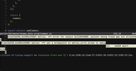 Help Malloc Error Pointer Being Freed Was Not Allocated Rneovim