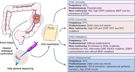 Figure 1 From Consensus Molecular Subtypes Of Colorectal Cancer In Clinical Practice A