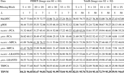 Face Recognition Results Average Recognition Rates On The Feret And