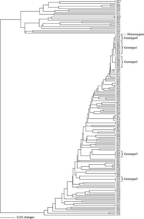 The Upgma Phenogram Showing The Overall Genetic Similarity Among The Download Scientific