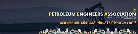 Become A Master Of Subsurface Data Analysis Our 5 Day Online Practical