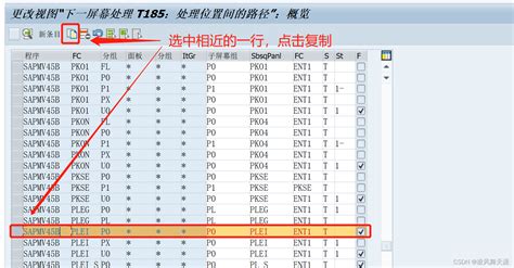 Sap 报错 流控制 Sapmv45b Plei Px 中的条目丢失流控制 Sapmv60a Tede