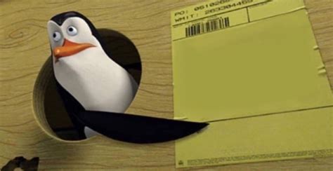 Create Comics Meme Penguins Of Madagascar Skipper The Penguin Meme In The Box Meme Penguin