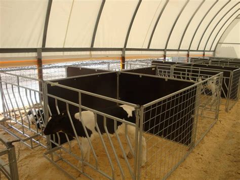 Загон для коров своими руками 68 фото красивые картинки и Hd фото
