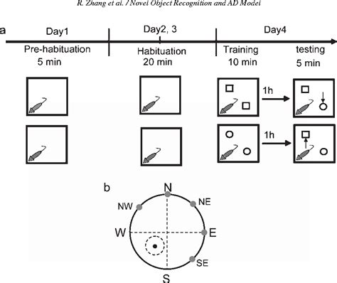 Figure 1 From Novel Object Recognition As A Facile Behavior Test For Evaluating Drug Effects In