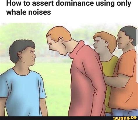 How To Assert Dominance Using Only Whale Noises Artofit