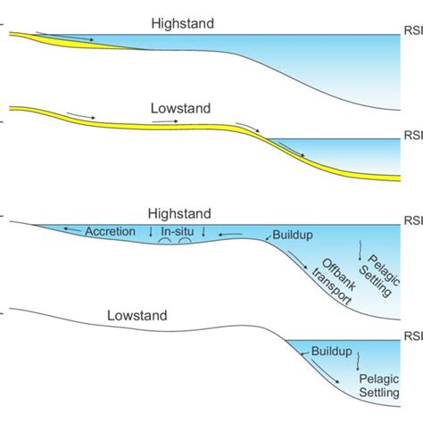 Carbonate Vs Clastic Sedimentation Download Scientific Diagram