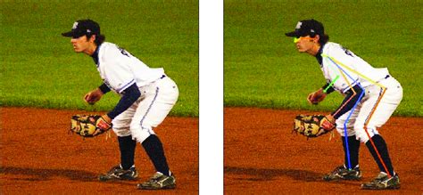 Example Recognition Results Download Scientific Diagram