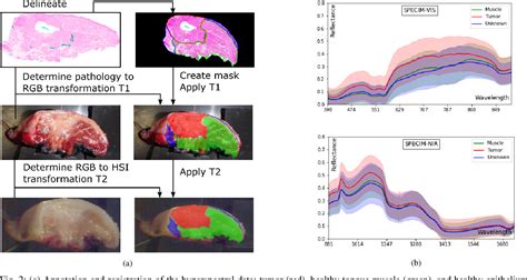 Figure 2 From Tongue Tumor Detection In Hyperspectral Images Using Deep Learning Semantic