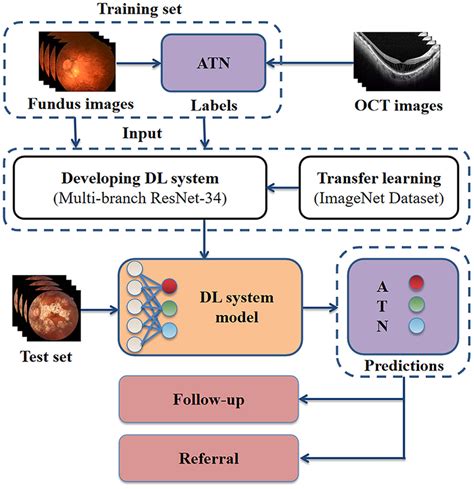 schematic representation of our approach for developing a high myopia