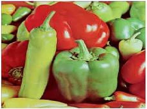 Figure 1 From A Rescursive Cubic Spline Interpolation Method For The Noise Removal In Image