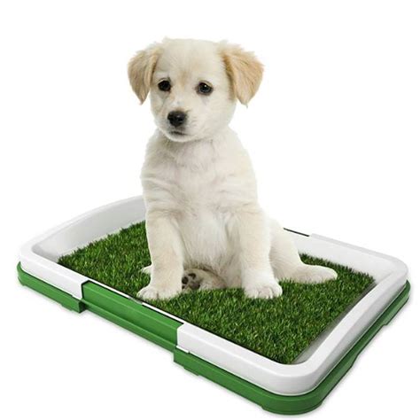 Туалет лоток для животных Puppy Potty Pad с искусственной травой купить ...