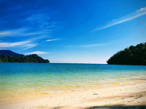 Android Kotlin Simple Example Of Recyclerview Databinding By Farhan Ahmad Medium