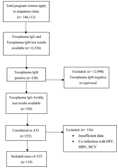 Toxoplasmosis A Timeless Challenge For Pregnancy PMC