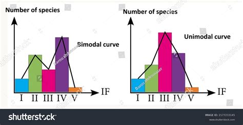 Frequency Curve Frequency Polygon Histogram Stock Illustration